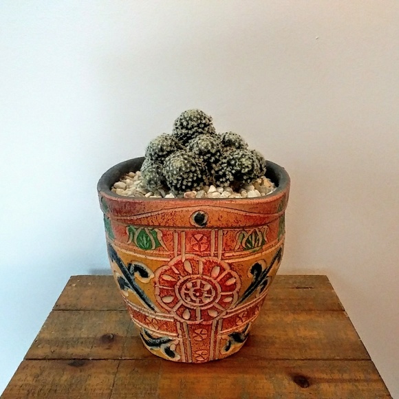 Accents | Thai Colorful Handpainted Flower Pot | Poshmark